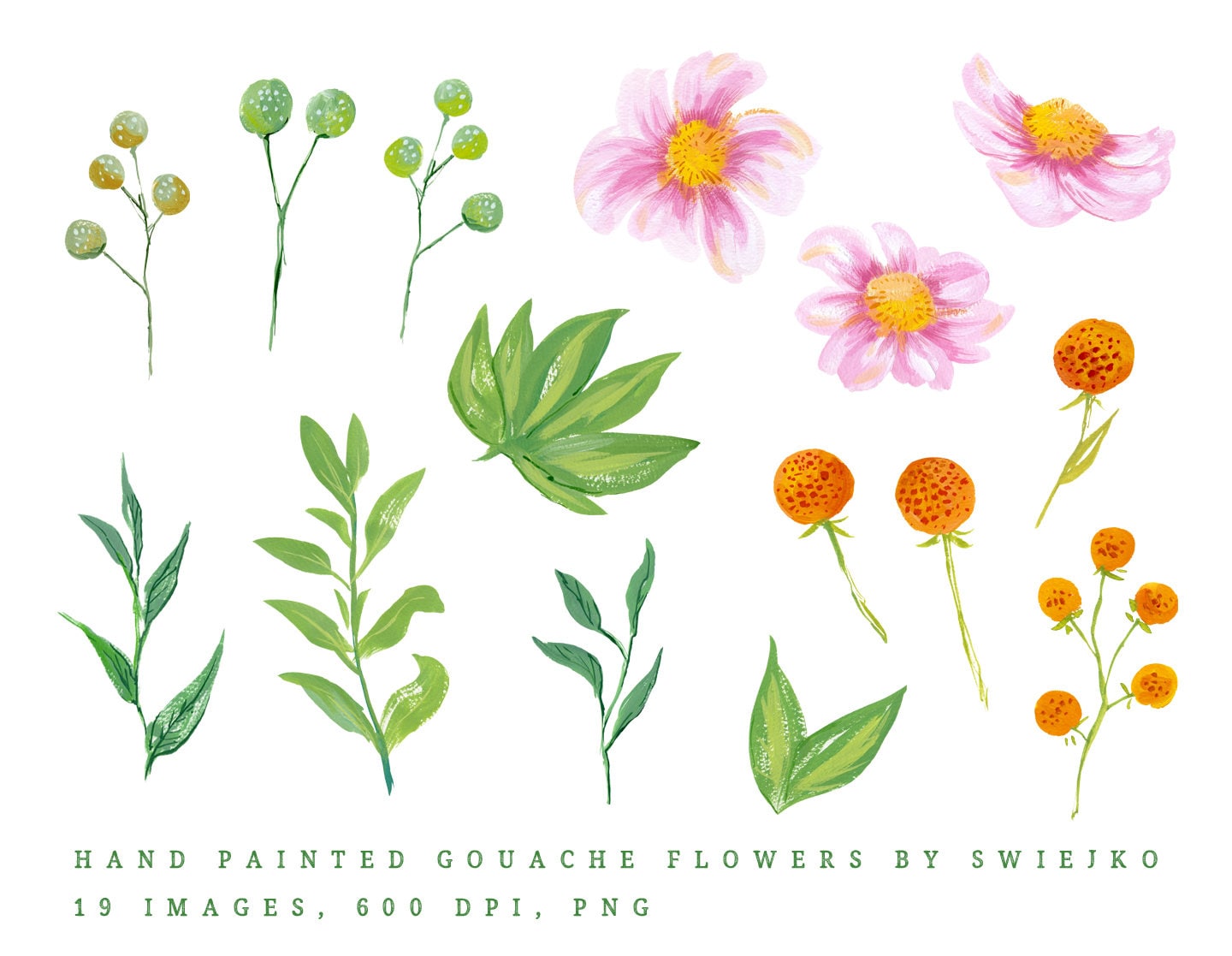 Digital Flowers, Hand Painted Clipart, Floral Clipart, Watercolor ...