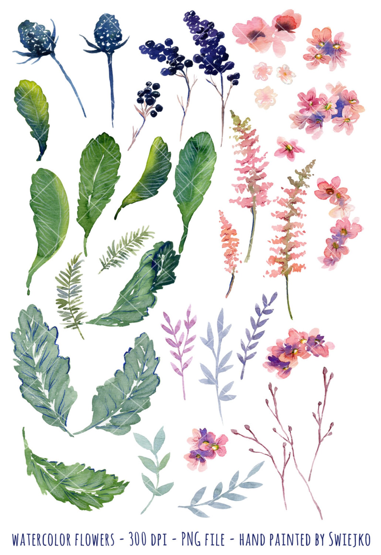 Digital Watercolor Flowers Hand Painted Floral Clipart - Etsy