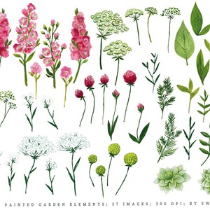Digital Clip Art, Watercolor Flowers, Floral Clip Art, Watercolor ...