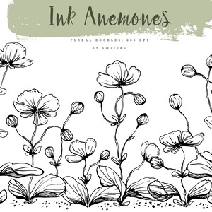 Flower Doodle, Hand Drawn, Doodle Clipart, Ink Clipart, Anemones, Png ...