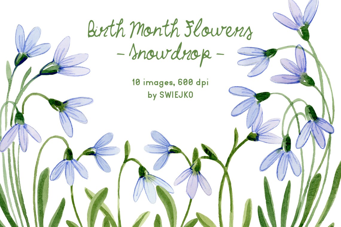 Snowdrop Clipart Birth Month Flowers January Flower - Etsy