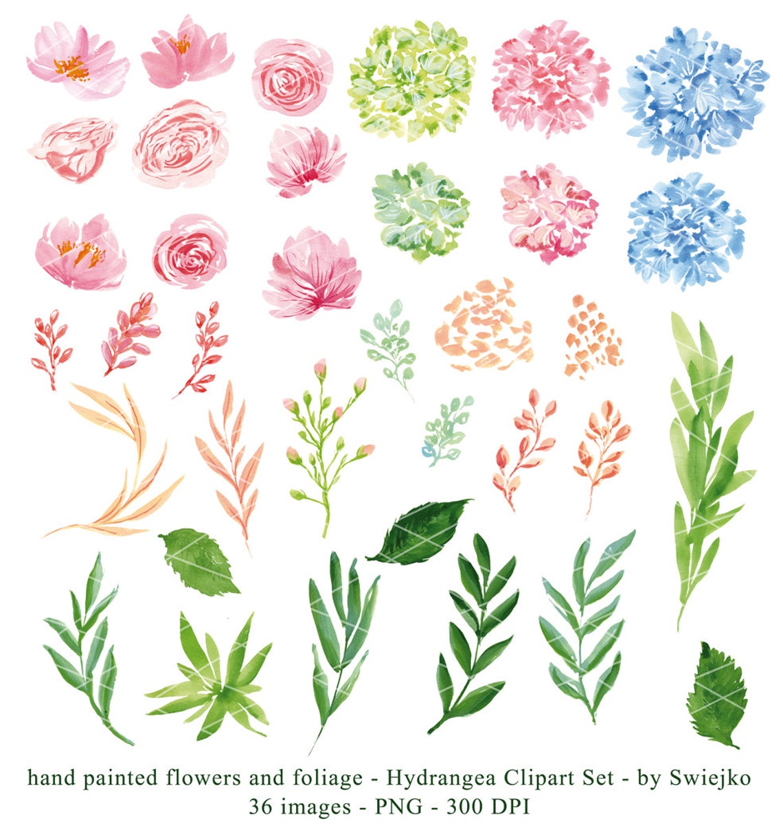 Digital Watercolor Flowers Floral Clipart Hydrangea - Etsy