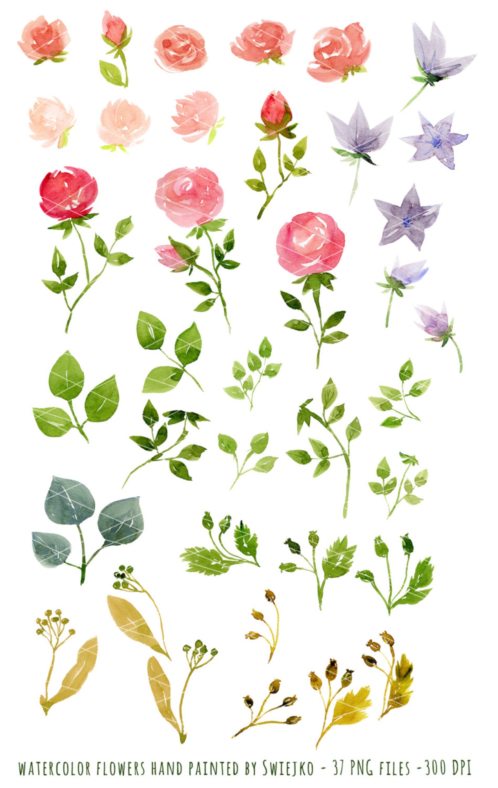 Digital Watercolor Roses Hand Painted Flowers Floral | Etsy