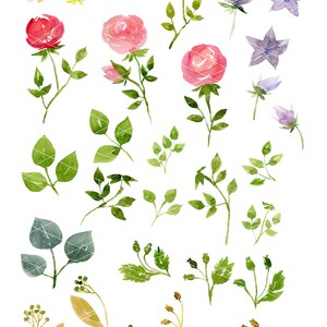 Digital Watercolor Roses, Hand Painted Flowers, Floral Clipart, Cottage ...