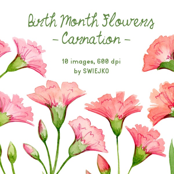 Carnation Clipart - Etsy