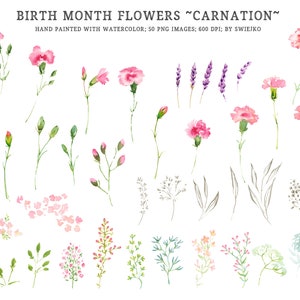 Digital Carnation Clipart, Birth Month Flowers, January, Watercolor ...