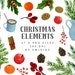 Christmas Watercolor Elements, Digital Clip Art, Holly Clipart, Holiday ...