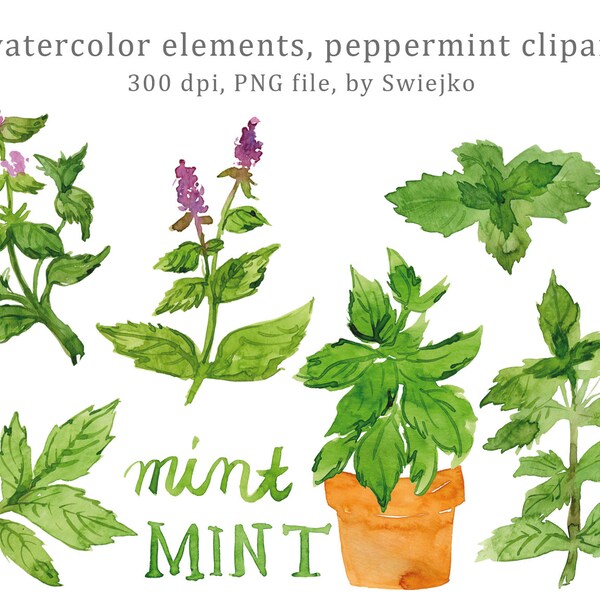 Watercolor Herbs - Etsy