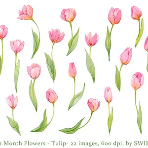 Tulip Clipart, Birth Month Flowers, Aprilflower, Watercolor Clipart Set ...