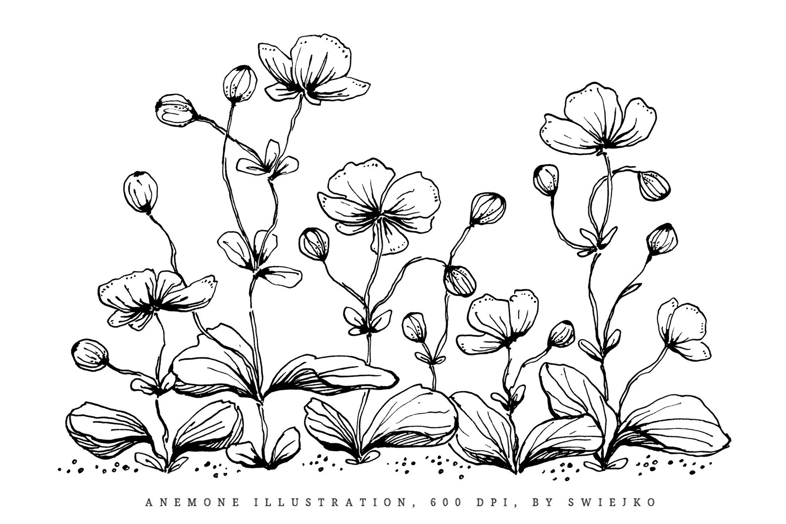 Flower Doodle Hand Drawn Doodle Clipart Ink Clipart - Etsy