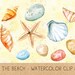 Summer Clipart, Digital Shells, Stones, Starfish, Sand, Repeatable ...
