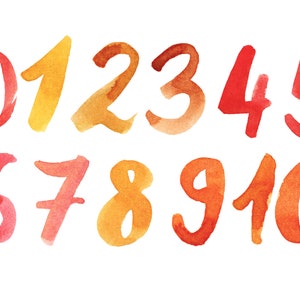 Watercolor Alphabet, Numbers, Autumn Illustrations, Hand Painted ...