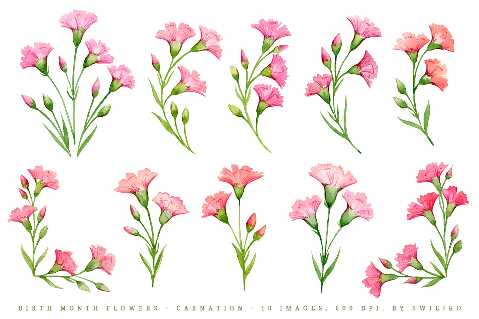 Carnation Clipart Birth Month Flowers January Flower | Etsy