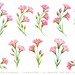 Carnation Clipart, Birth Month Flowers, January Flower, Watercolor ...