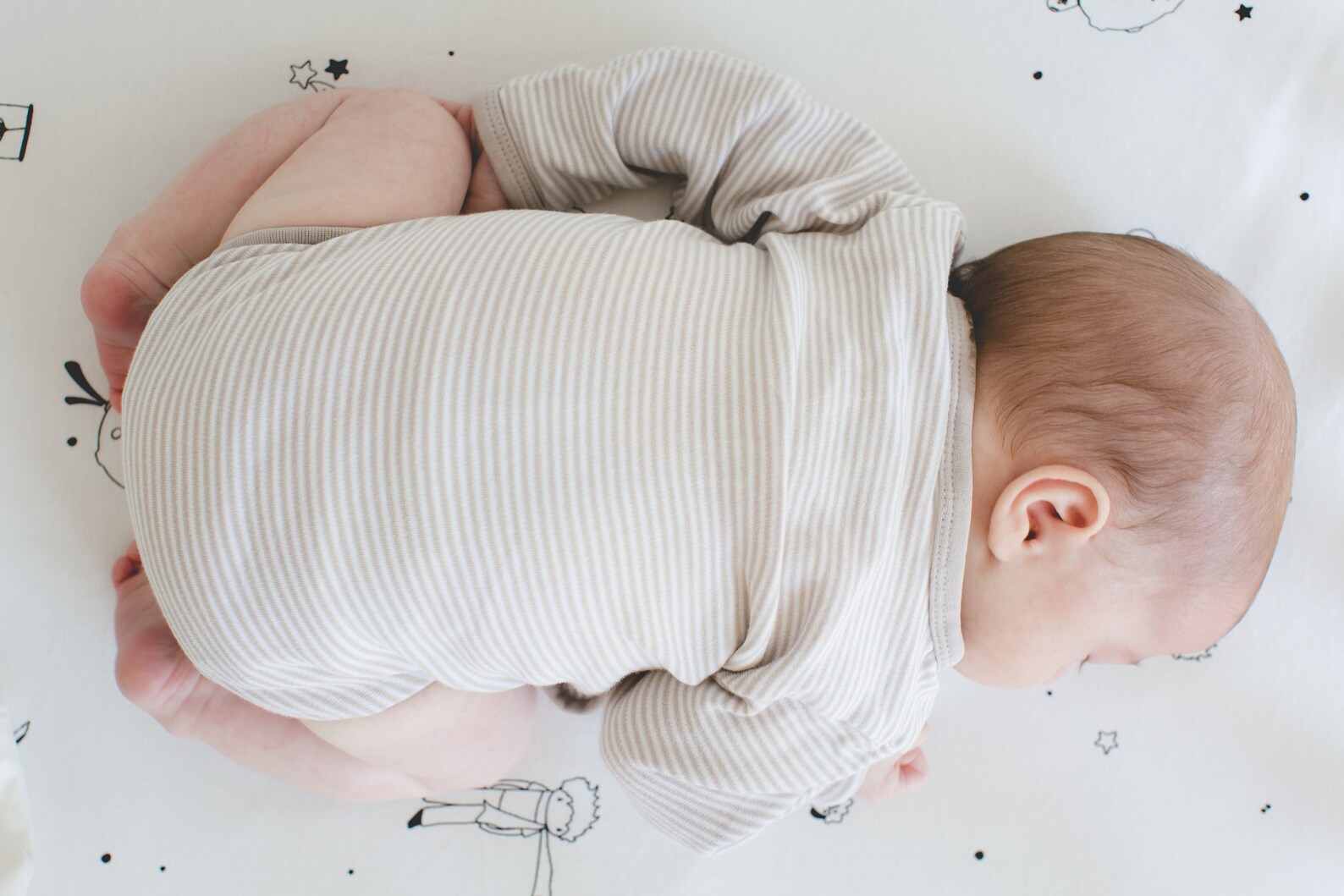 Le Petit Prince Mini Crib Sheets, 100% Egyptian Cotton Bed Sheets ...