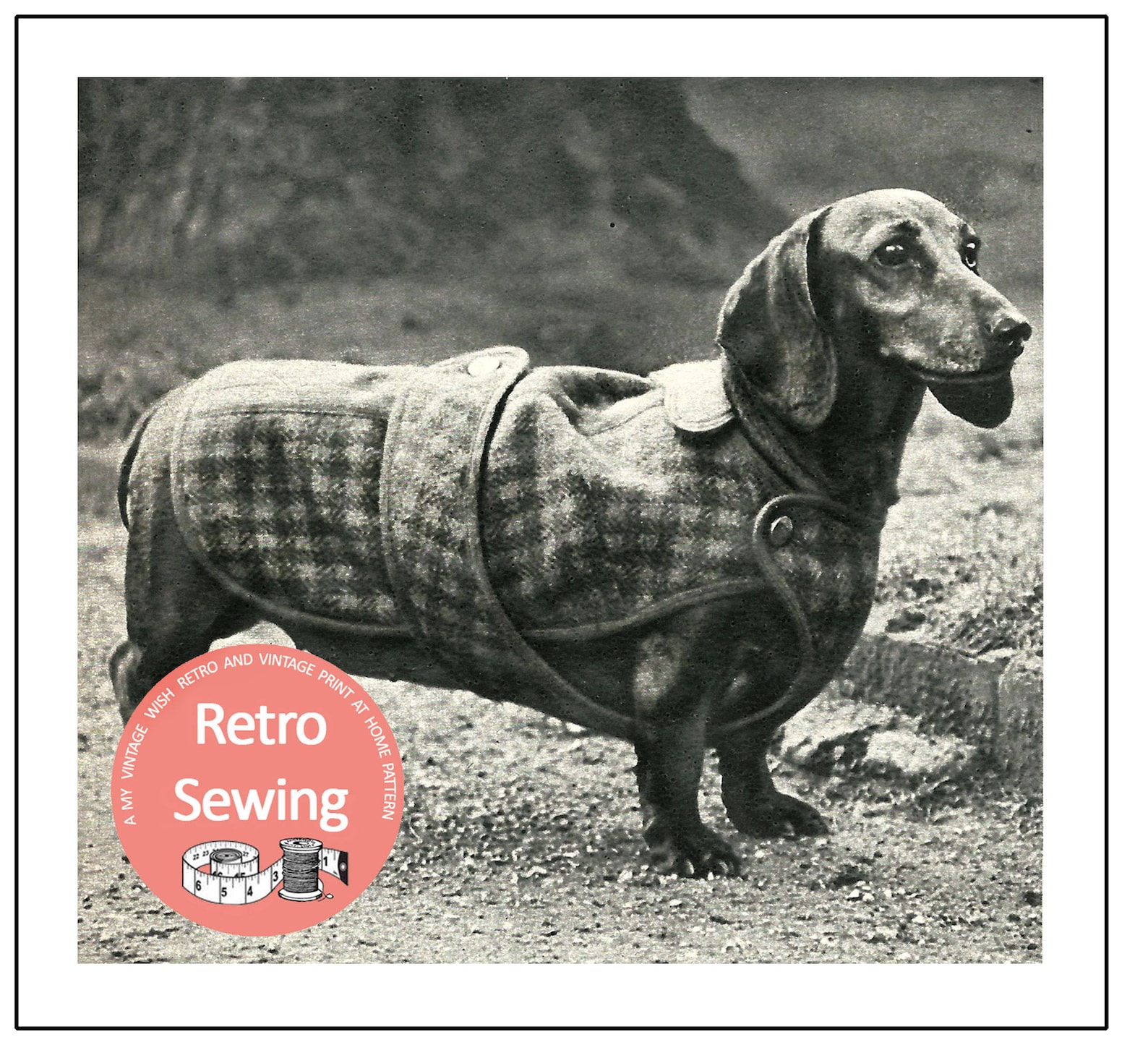 Dachshund Dog Coat Sewing Pattern - Paper Version - Etsy