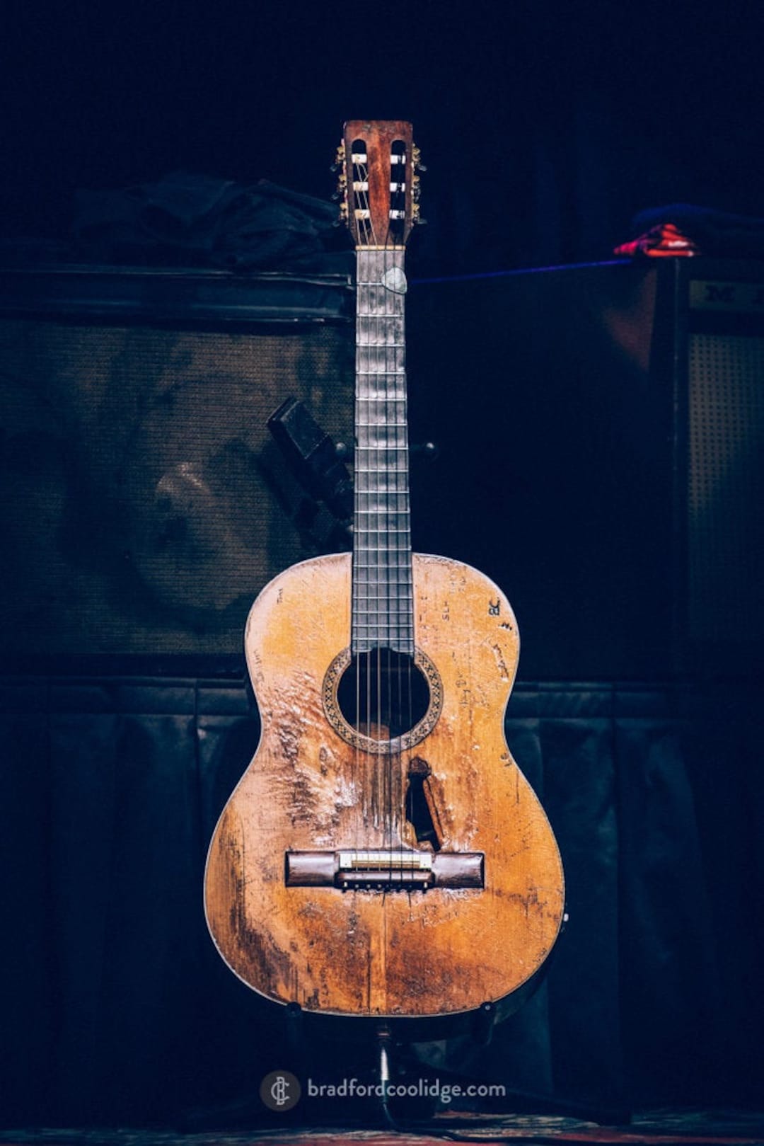 Willie Nelson Electric Guitar