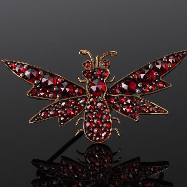 Insect Brooch - Etsy