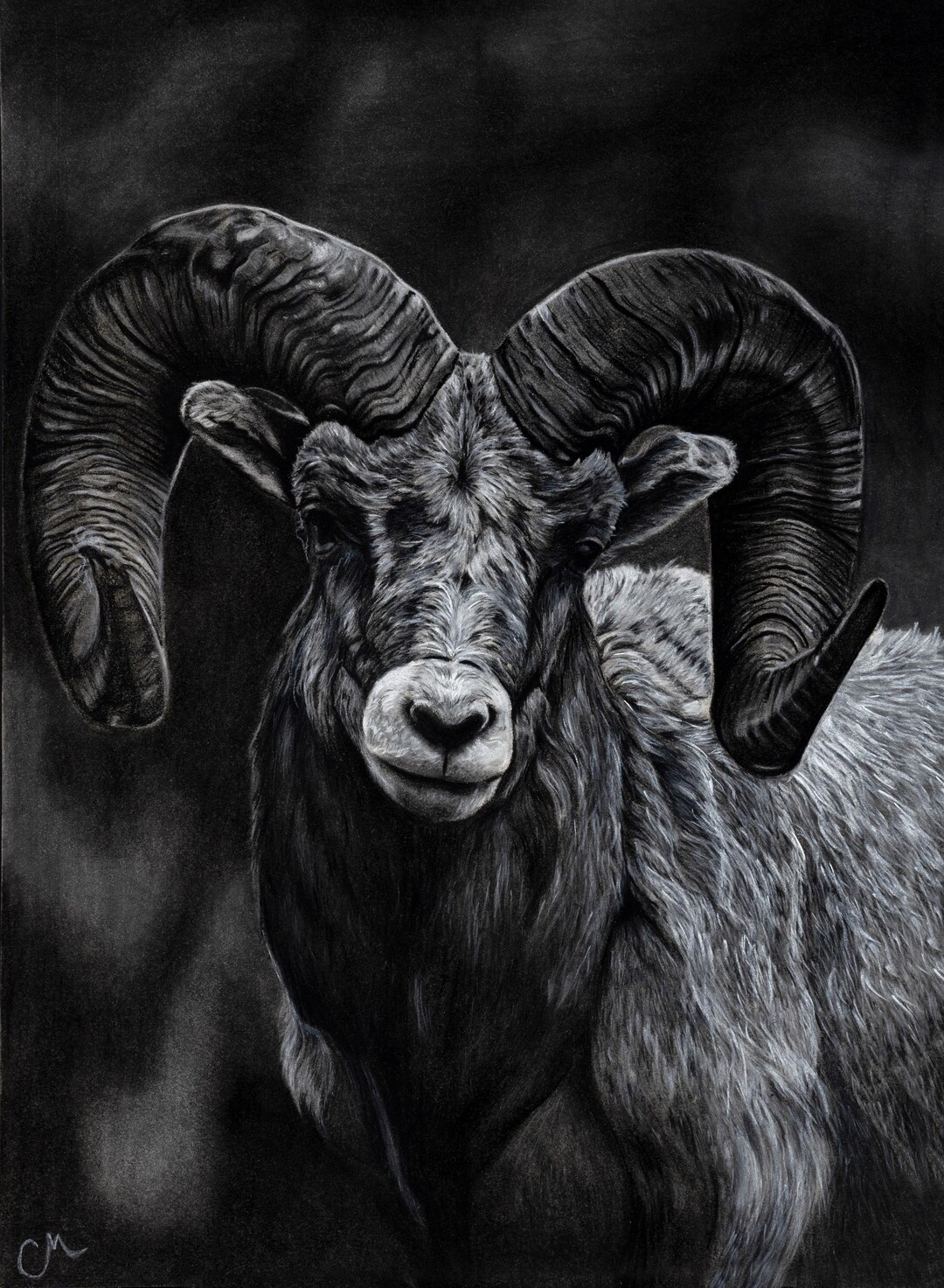 Charcoal Ram Print 8 X 10 - Etsy