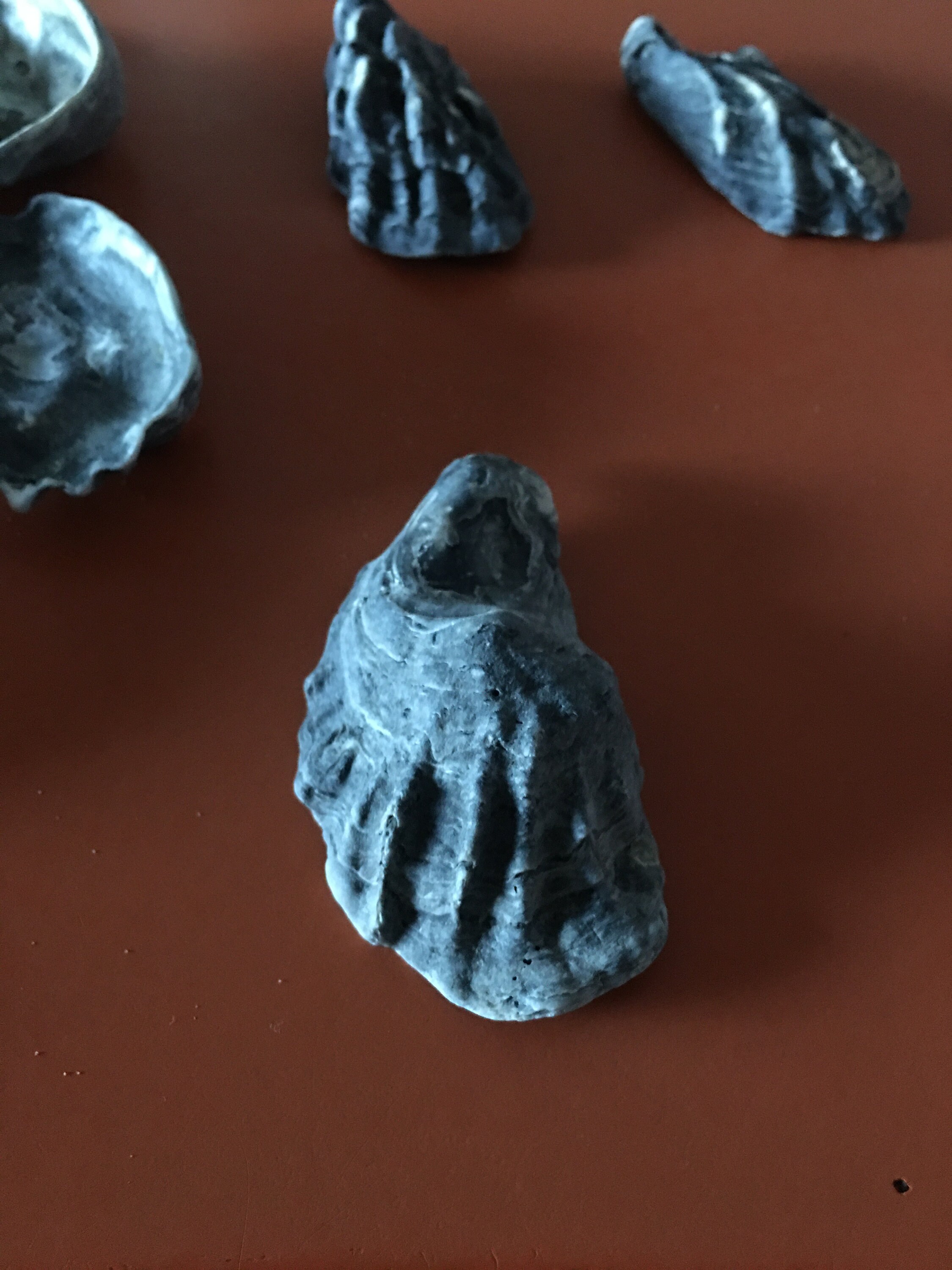 Blue/Charcoal Oyster Shells 100 PC 3 to 4 inchwith Free 2 | Etsy