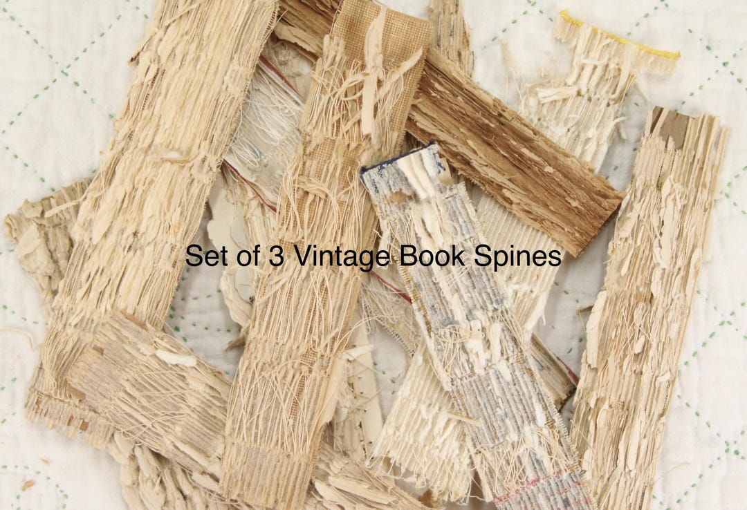 Vintage Book Spines, Set of 3 Book Spines Sets #31-46 - Etsy