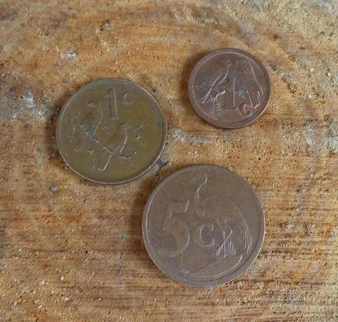 Vintage South African Bird Coins Set of 3 Different Birds 1989, 1994 ...