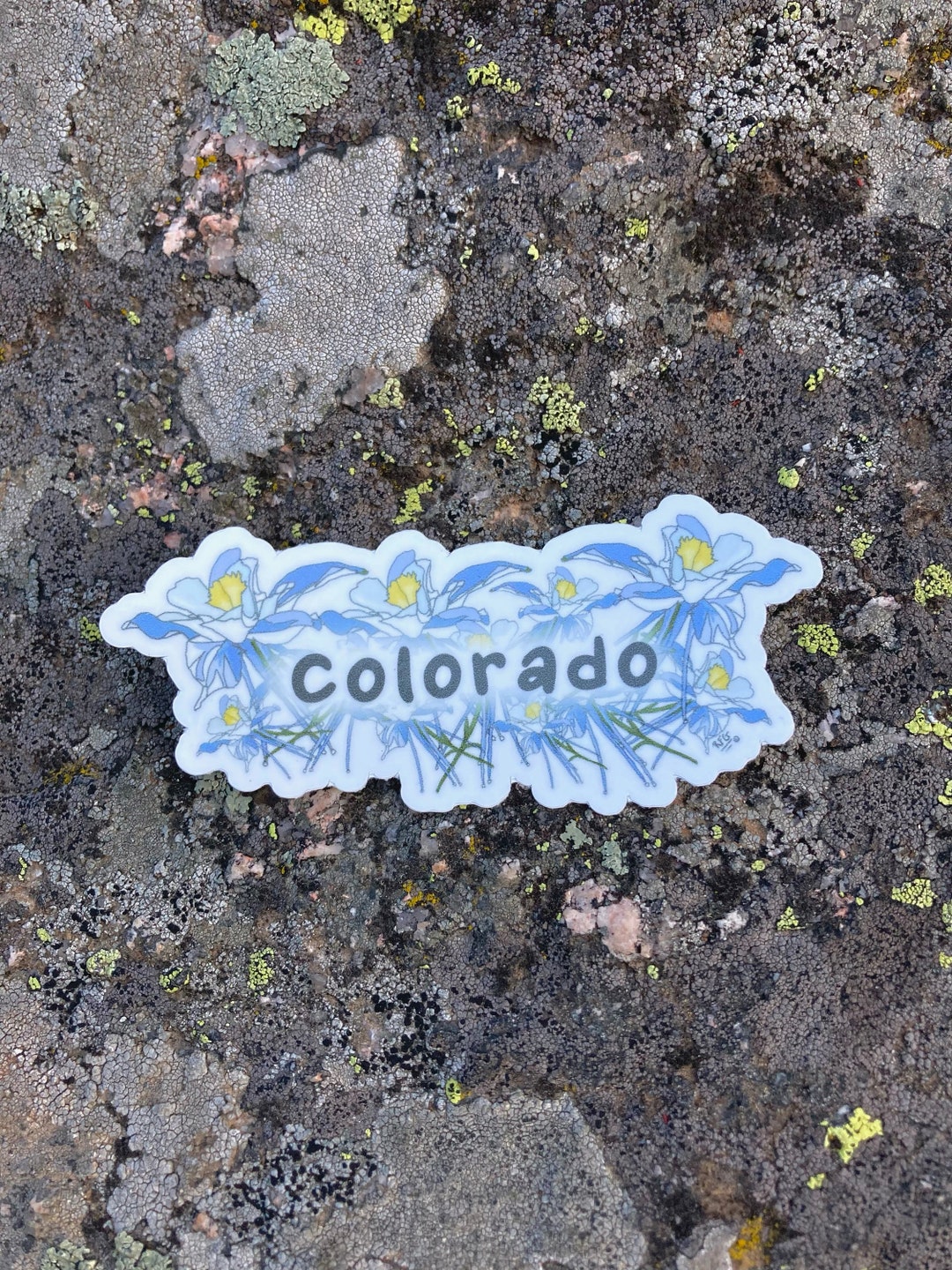 Colorado Columbine Sticker - Etsy