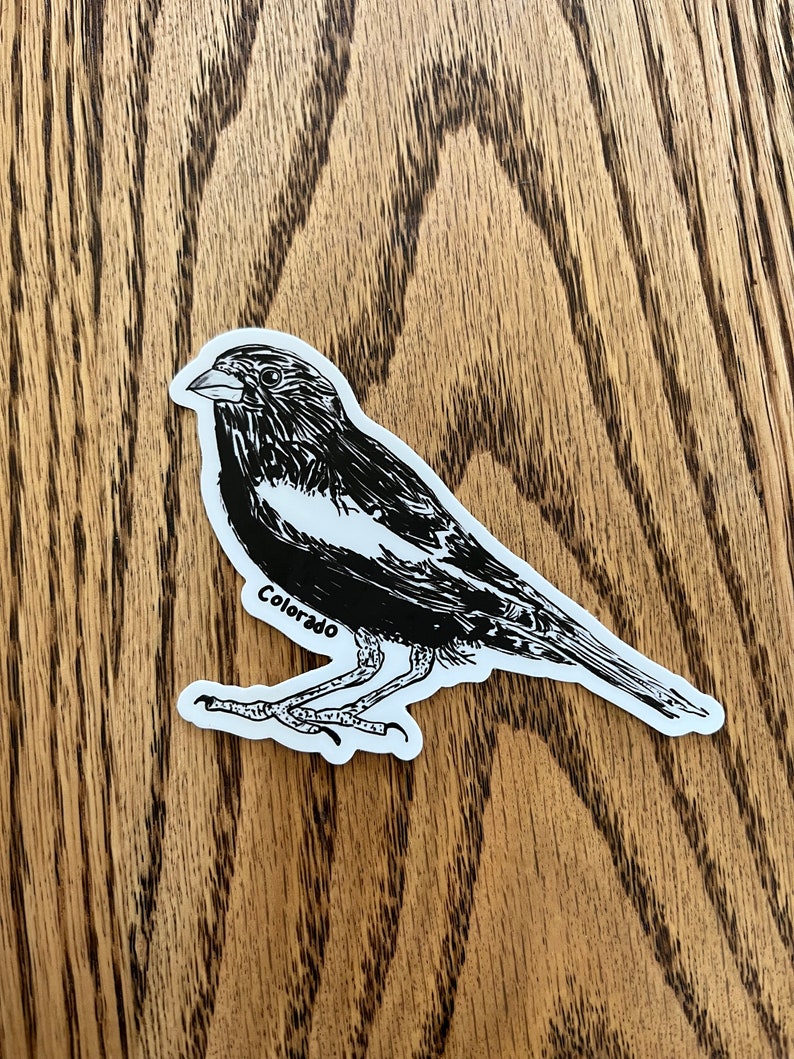 Colorado State Bird Lark Bunting Sticker - Etsy