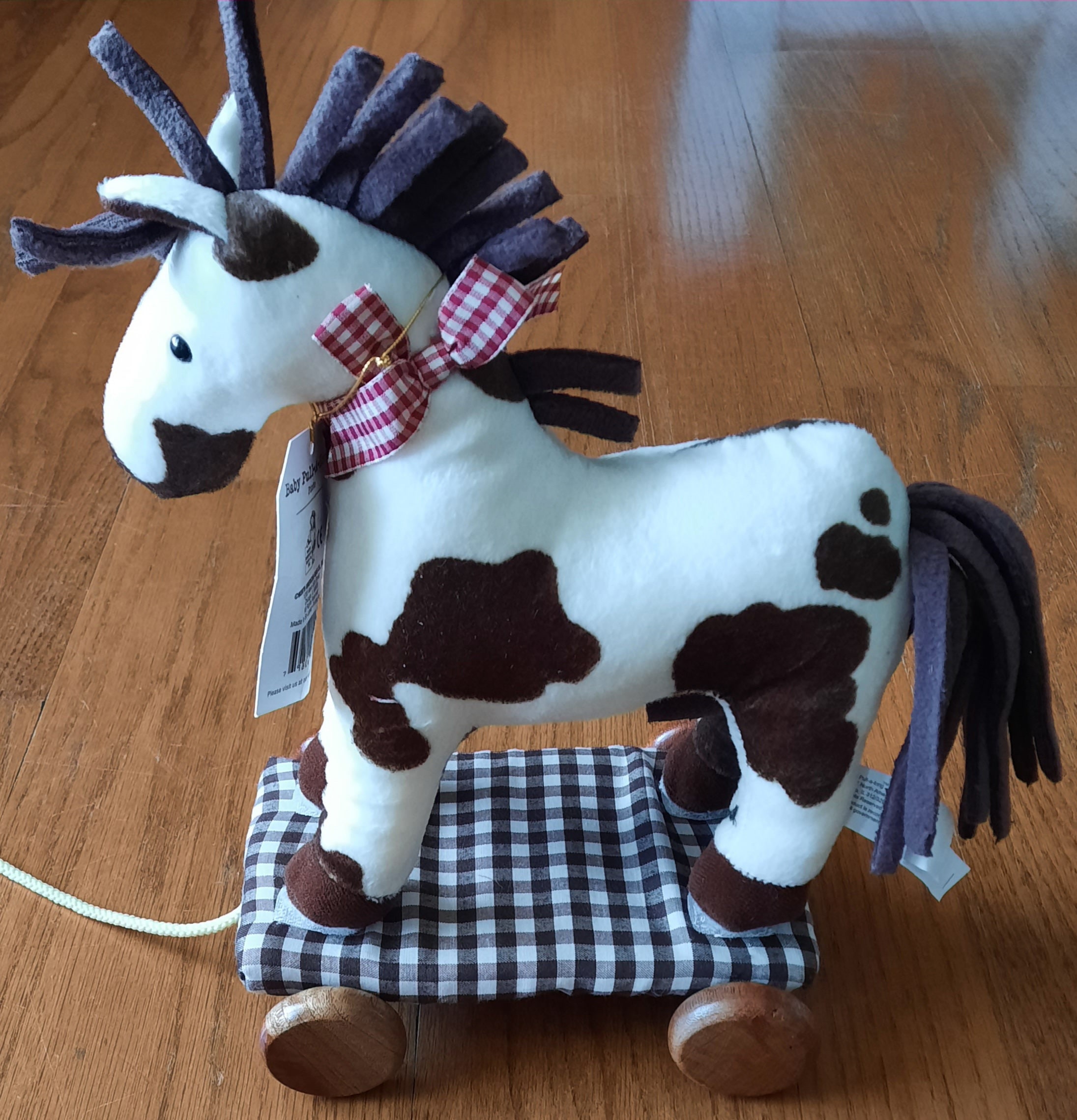 Baby Pinto Horses