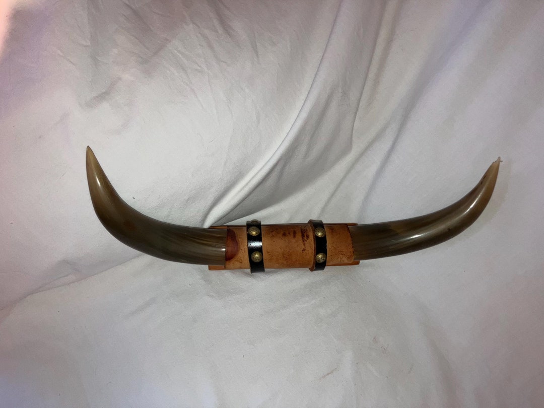 Vintage Mounted Steer Bull Horns, Studded Leather Trim, Wood Mount ...