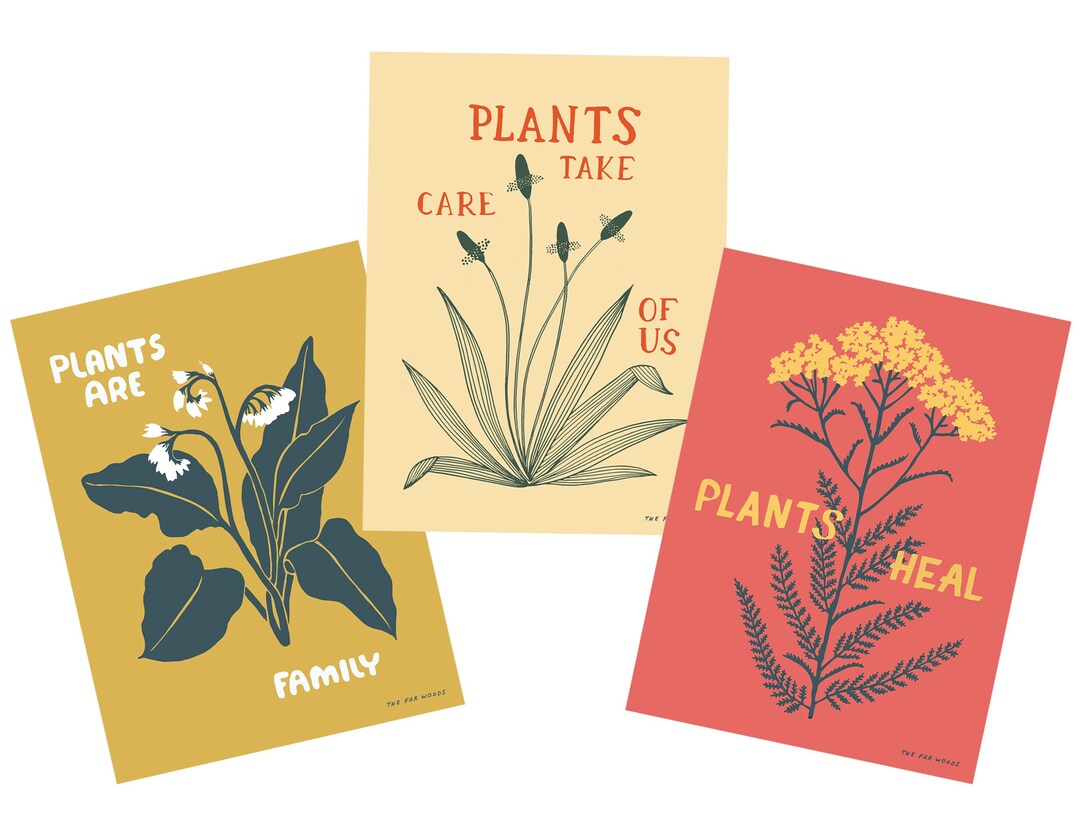 Botanical Art Print Trio: Yarrow, Comfrey, Plantain Plant Medicine (6x8 ...