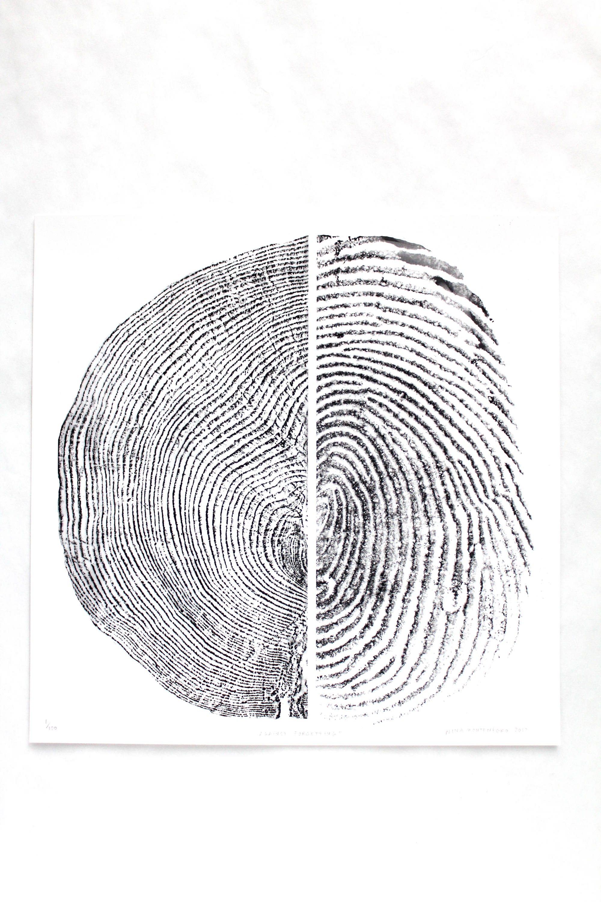 Against Forgetting Fine Art Print Fingerprint and Tree Ring | Etsy