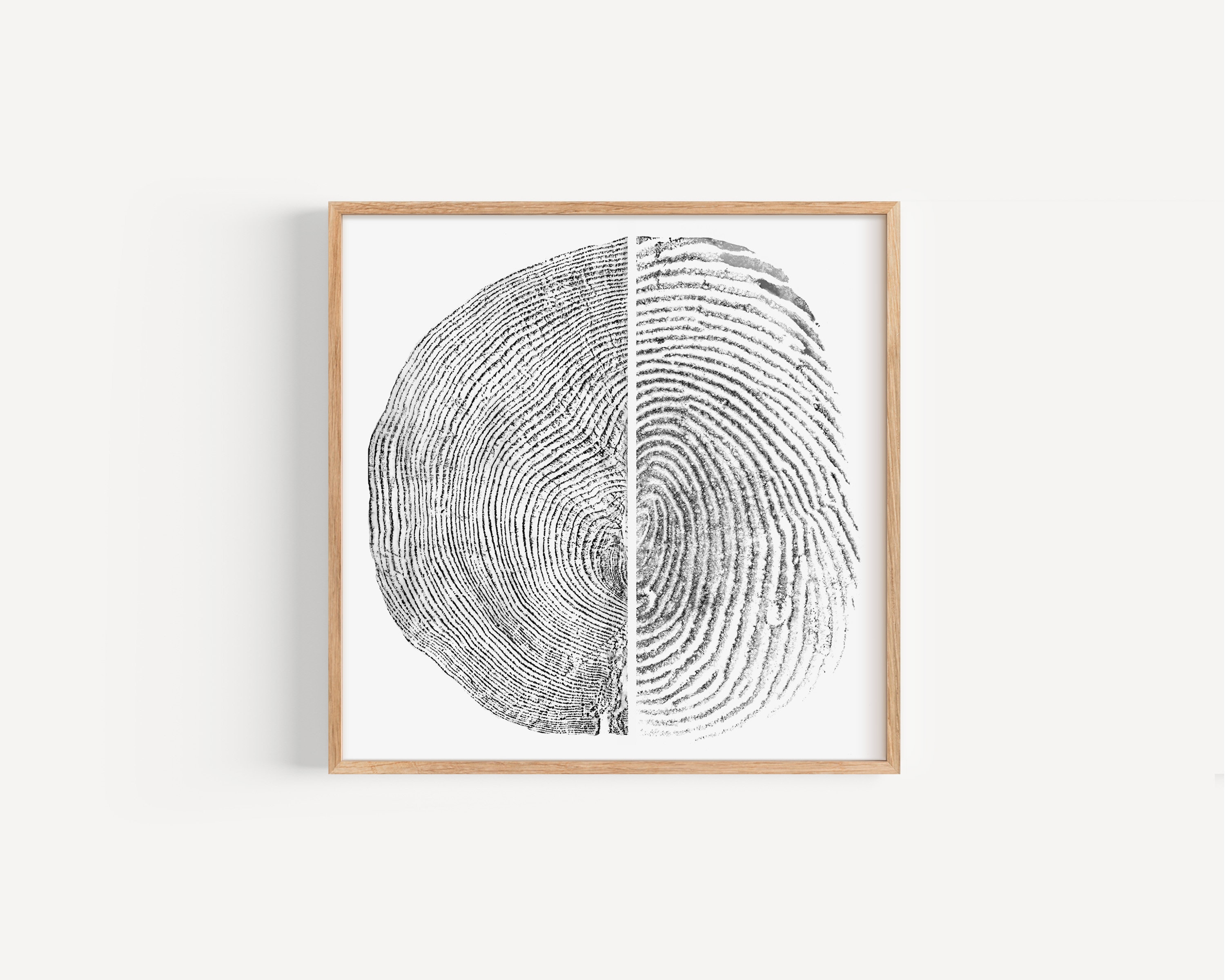 Tree Ring Information
