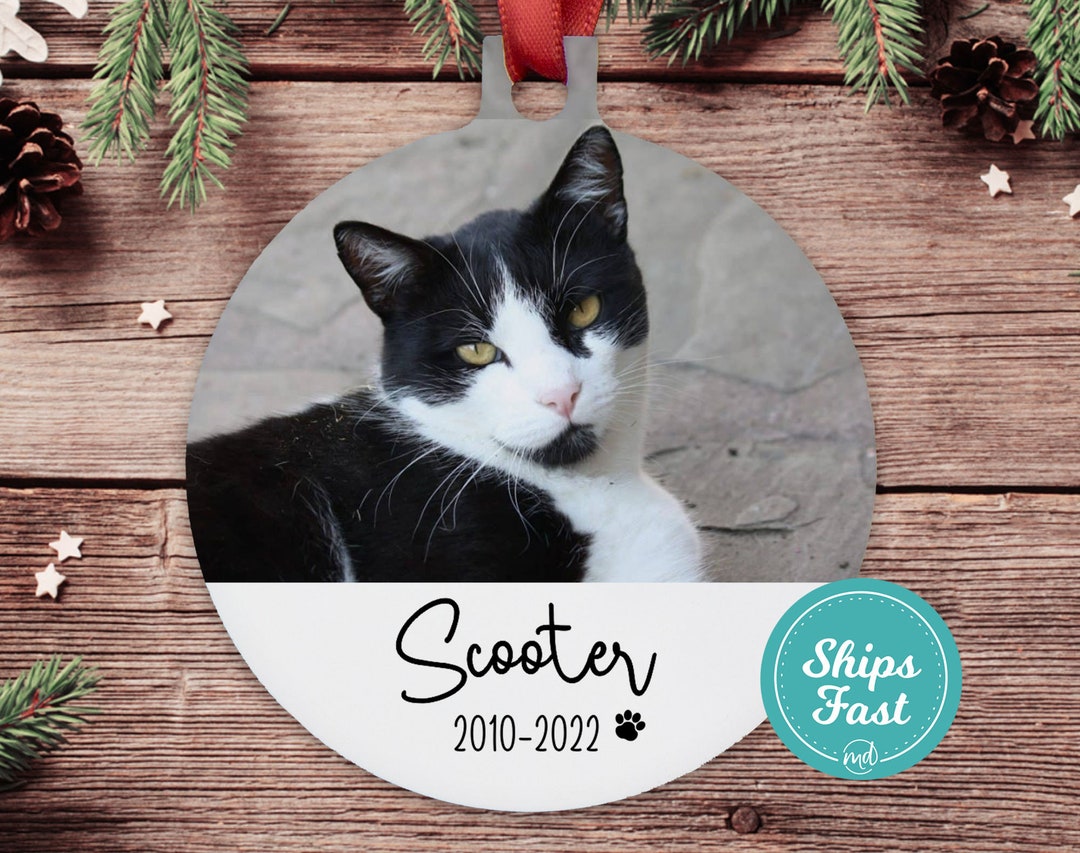 Cat Memorial Ornament With Picture Cat Memorial Ornament - Etsy