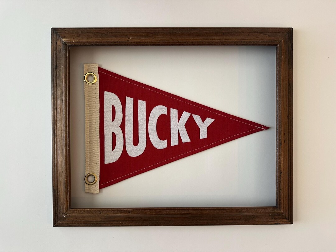 BUCKY / Badgers / University of Wisconsin, Madison - Pennant Flag - Etsy