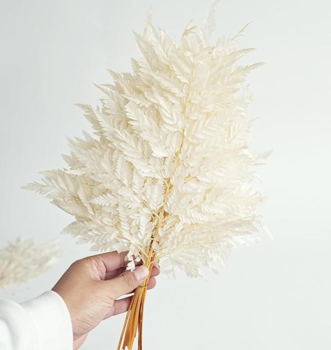 Boho-inspired Dried Flower Posy for Wedding Bouquets, Centerpieces, and ...