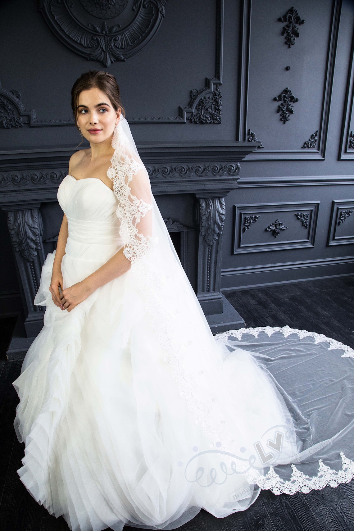 Lace Veil Cathedral Veil Wedding Veils Cathedral Bridal - Etsy Canada