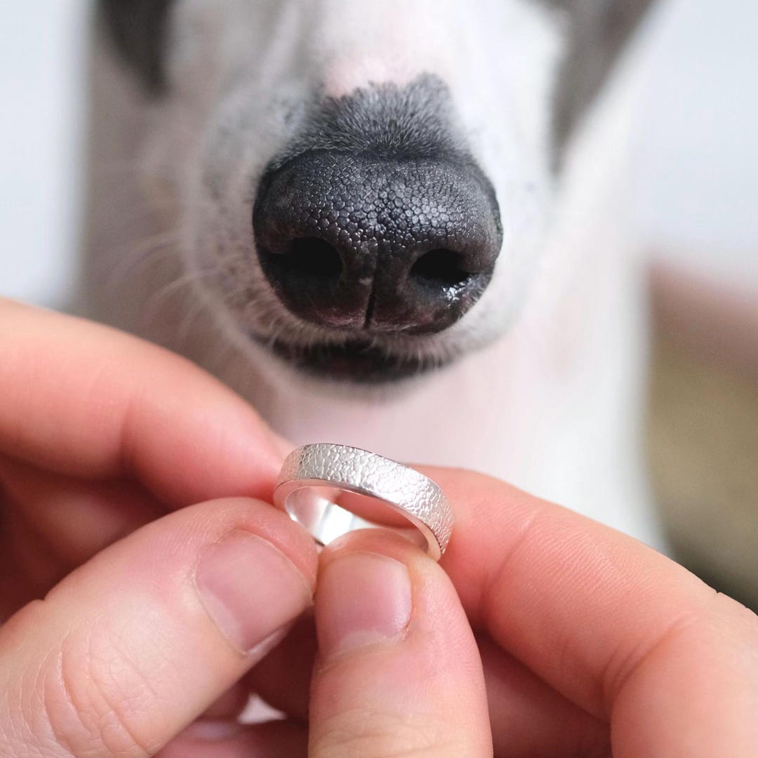 Pet Impression Ring in Sterling Silver, Pet Nose Print Ring, Pet ...