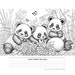 Panda Bear Cubs Coloring Pages for Adults 16 Adult Coloring Pages ...