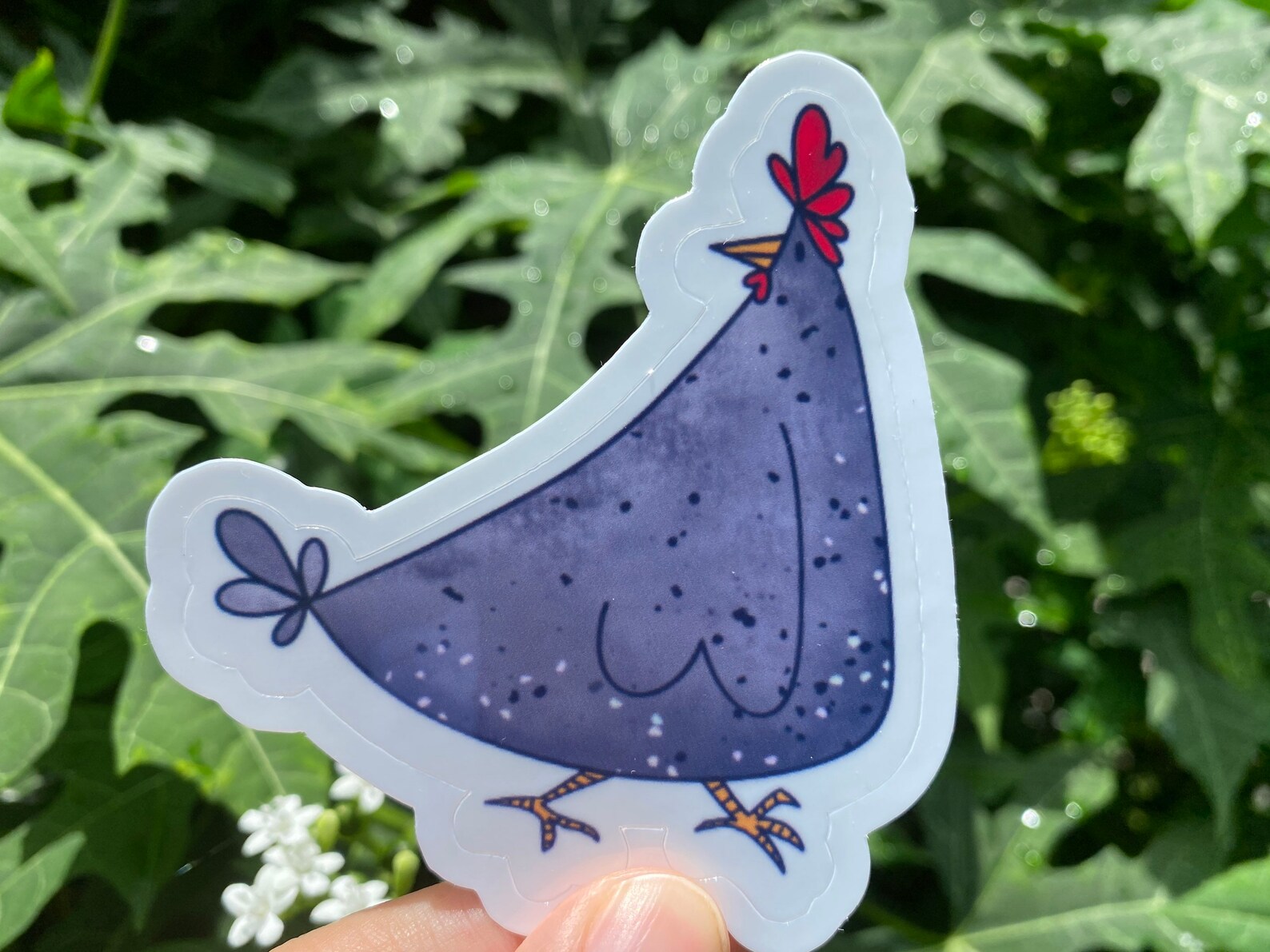 Chicken Stickers Chickens Chicken Gifts for Coop Clipart | Etsy