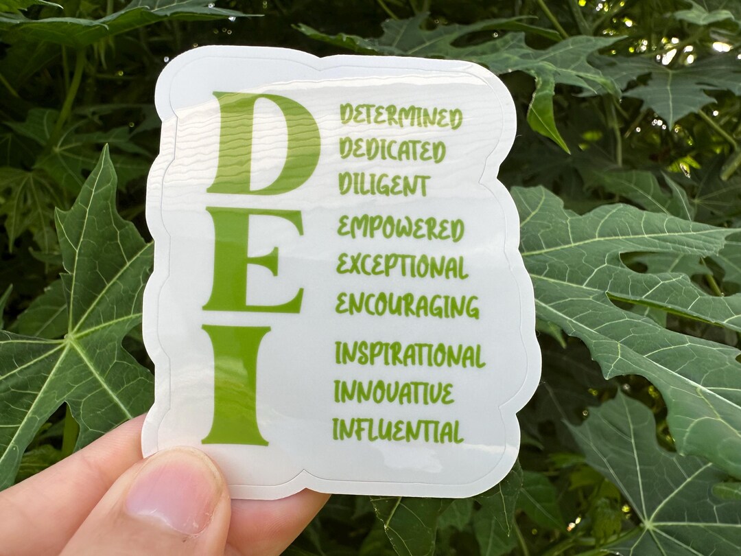 DEI Diversity Equity Inclusion Sticker, Election 2024 Vinyl, Vote 2024 ...