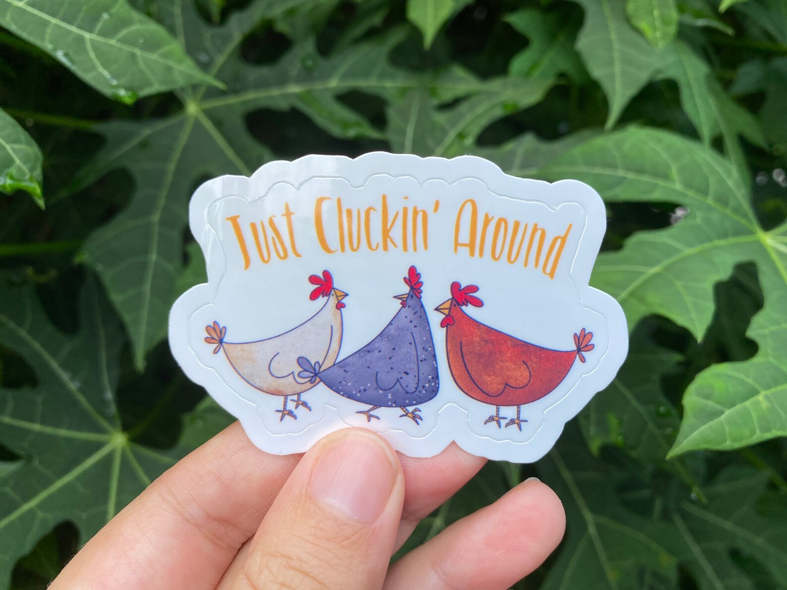 Chicken Stickers Love Chicken Sticker Vinyl Just Clucking | Etsy