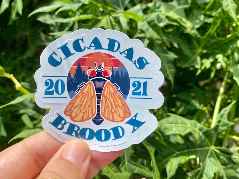 Cicada Stickers Cicadas Invasion Brood X 2021 Cicadas Sticker - Etsy