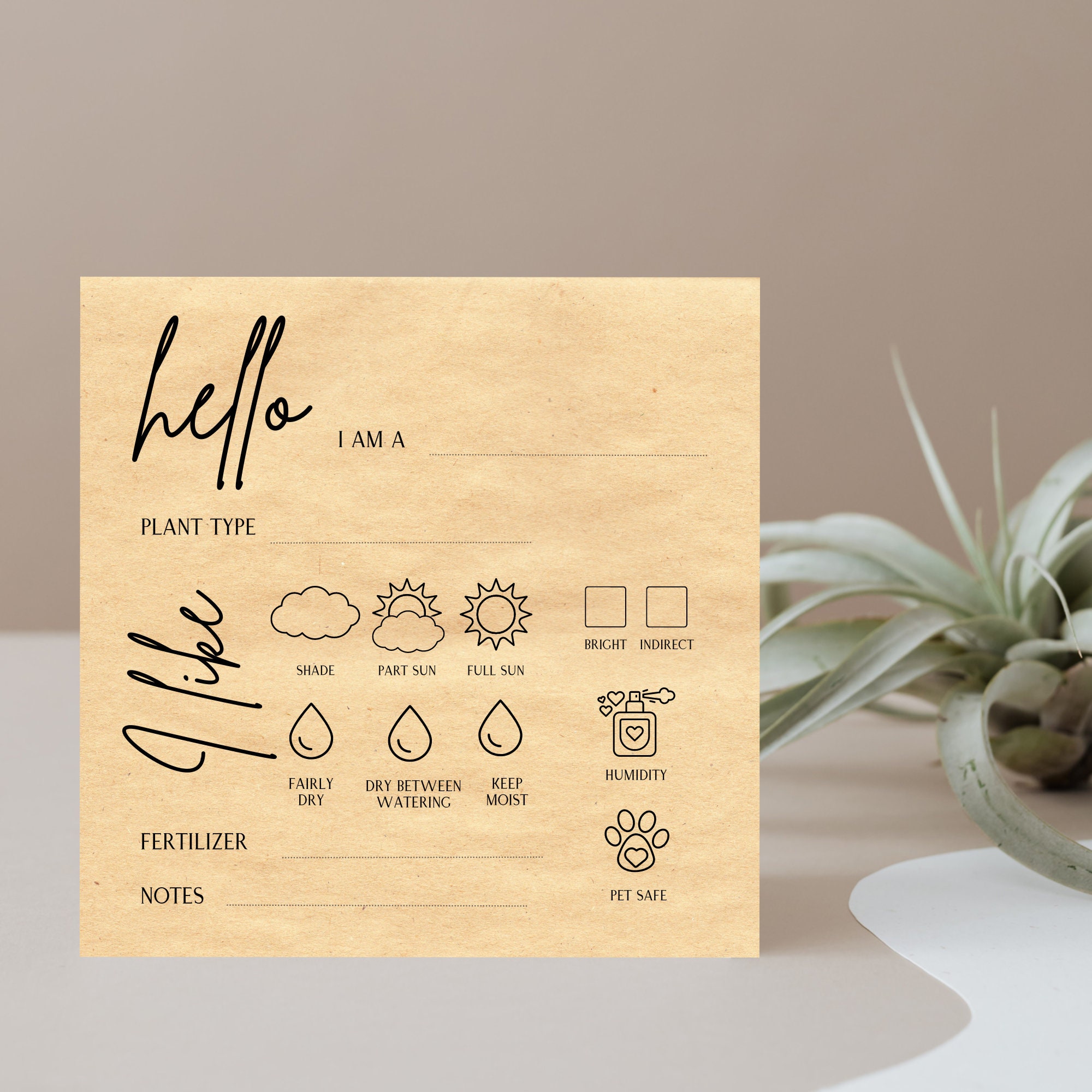 Printable Plant Care Cards: Digital Garden Tags for Flower & Succulent ...