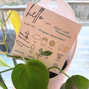 Printable Plant Care Cards: Digital Garden Tags for Flower & Succulent ...