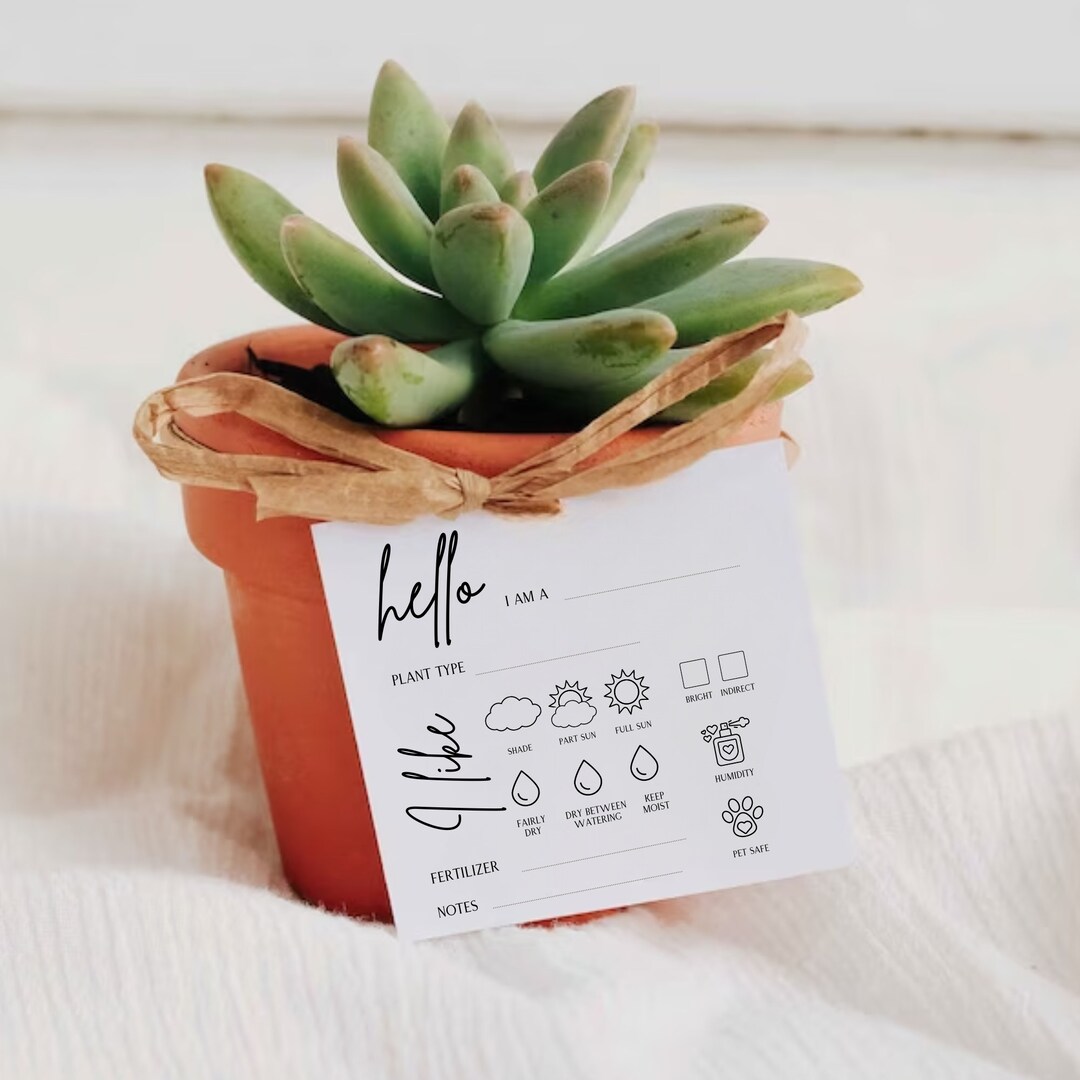 Printable Plant Care Cards: Digital Garden Tags for Flower & Succulent ...