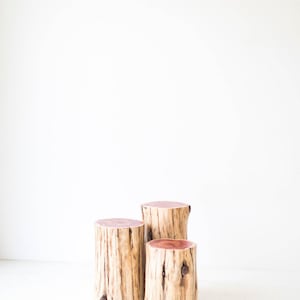 Natural Tree Stump Normal Size 11" to 12" Diameter - Etsy