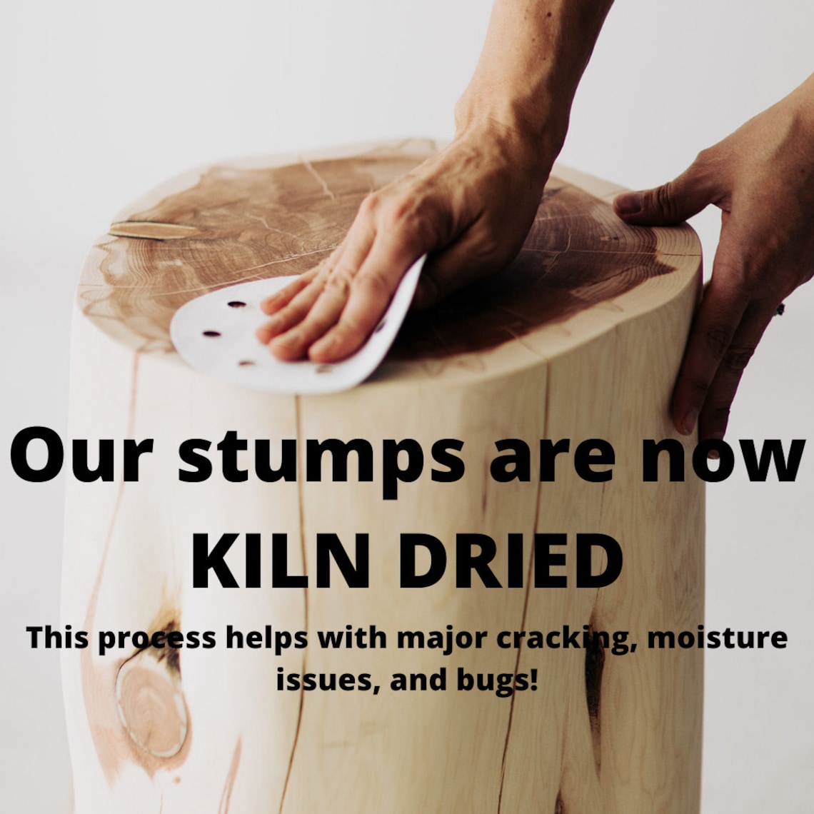 Quick Ship Stumps in Natural - Etsy