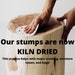 Quick Ship Stumps in Natural - Etsy