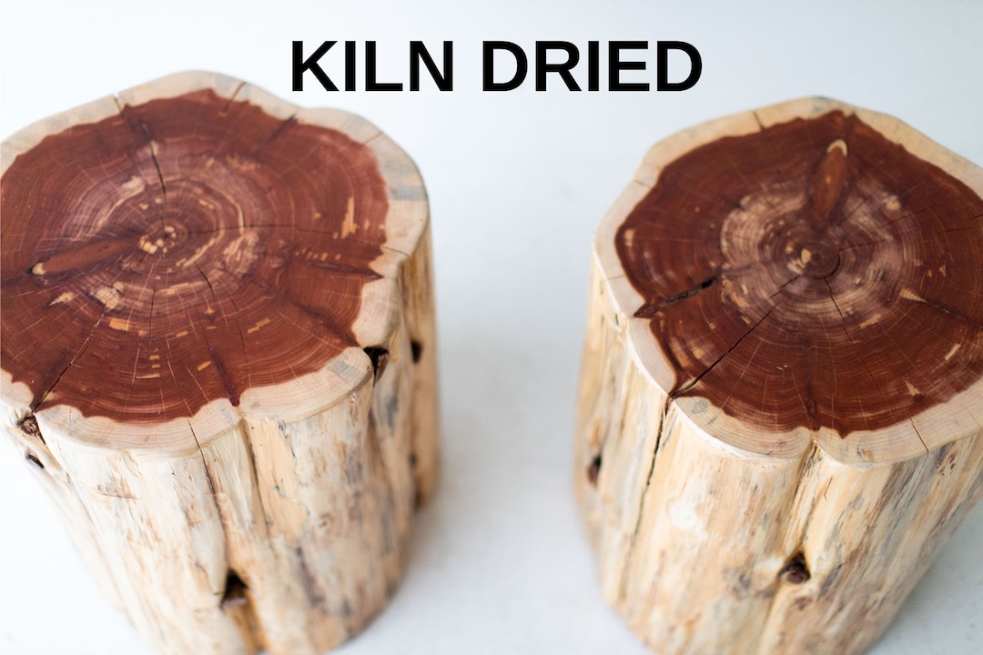 Tree Stump Table - LARGE - Etsy